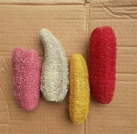 Natural Loofah Sponge Lufa Gentle At ₹ 11piece In North Dumdum Id