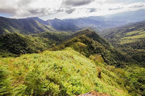 Fondo Selva Subtropical Y Montañas Foto E Imagen Para Descarga Gratuita