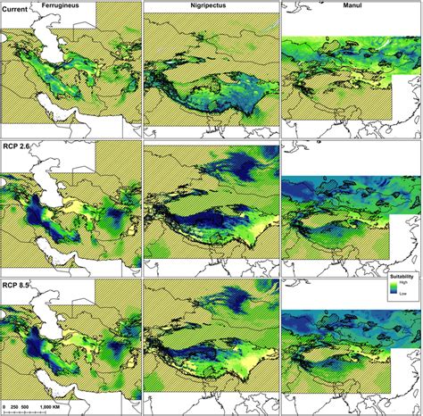 Mean And Standard Deviation Of The Habitat Loss And Habitat Gain In The
