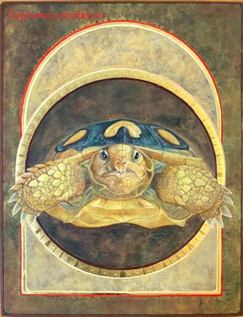 The Gopher Tortoise Artists For Conservation