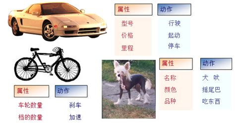 php基础之面向对象 php 面向对象 csdn博客