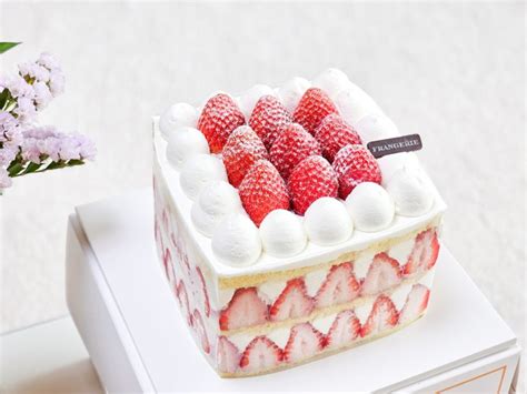 평촌 케이크 맛집 프랑제리 딸기케이크 1kg 베리 포레스트 후기 네이버 블로그 평촌 케이크 맛집 프랑제리 딸기케이크 1kg 베리 포레스트 후기 네이버 블로그