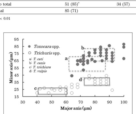 Measurement Of Toxocara Spp And Trichuris Spp Eggs