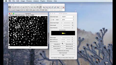 how to install plugin in fiji at idell robinson blog