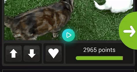 browsing imgur mobile recently on imgur