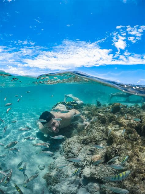 관광 깨끗한 하늘 다이빙 다채로운 물고기 레저 맑은 맑은 물 모험 바다 바다 경치 바닷 속에 발견하다 산호초 섬 소금물 수상 스포츠 수생 수영