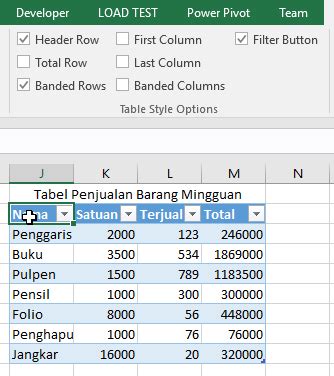 Cara Membuat Tabel Di Excel Dengan Table Tools Dan Contohnya