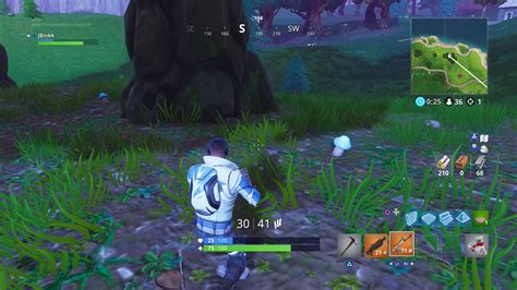 Fortnite Foraged Mushroom Location Map Season X