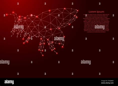 Bee From Futuristic Polygonal Red Lines And Glowing Stars For Banner