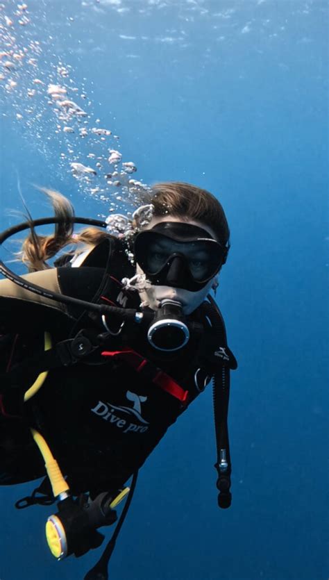 Duiken En Snorkelen In Marsa Alam Ontdek De Onderwaterwereld