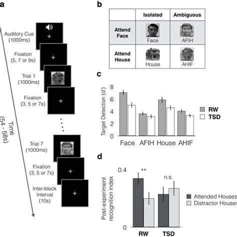 Experimental Schematics And Behavioural Task Performance A Example