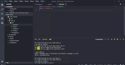 自定义npm包——typescript版本npm Typescript Csdn博客