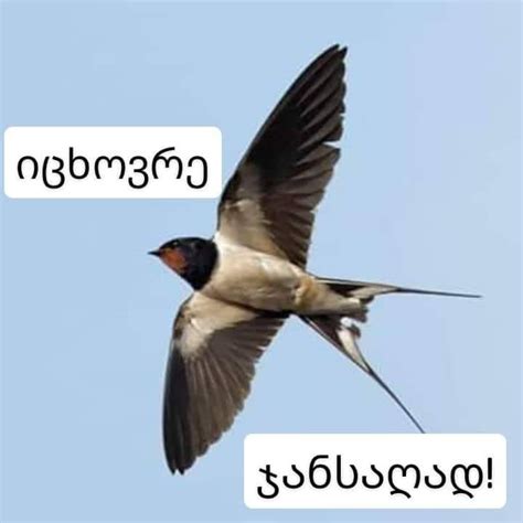 ვალის პირველი საჯარო სკოლის სპორტული კლუბი