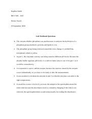 Lab 5 Properties Of Enzymes Post Lab Docx Naphisa Smith BIO 1500 D26 Denise Swack 29