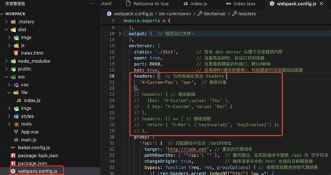 Webpack Dev Server_webpack-dev-server-CSDN博客