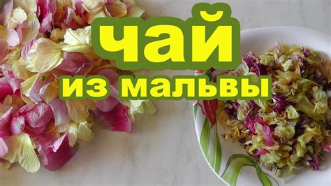 Чай из мальвы. ЧрезвыЧАЙно полезно! - YouTube