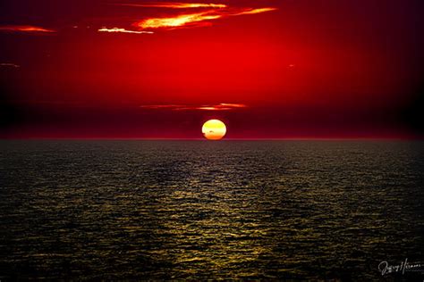 Giraffe Coffee Mug Capturedlifephoto