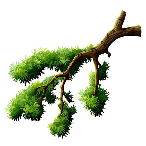 Tree Branch Png Images 300