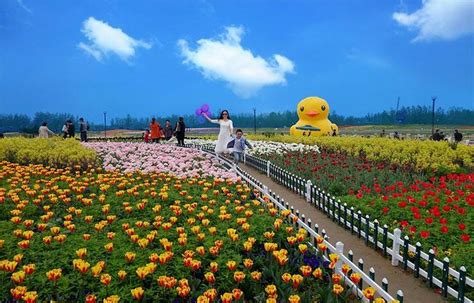 福州花海公园图册360百科