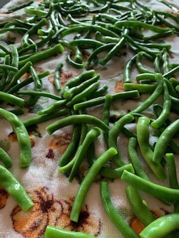 Preservation How To Freeze Green Beans Sthealthy Hunter
