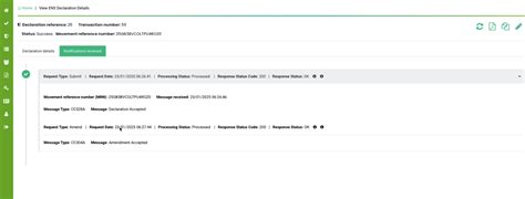 Submitting Safety And Security Declarations Ens On Customs