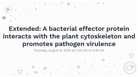 Extended A Bacterial Effector Protein Interacts With The Plant Cytoskeleton And Promotes