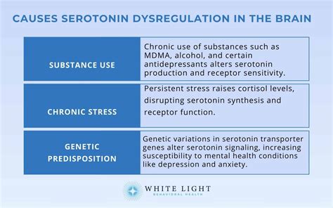 Serotonin Function Relation With Addiction Dysregulation Effects