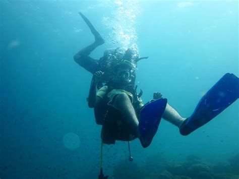 Tibi Te Bitang Papucsállat