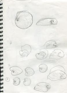 A Life Inspired By Nature A Fun Drawing Lesson