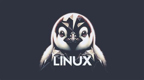 Best Linux Distros For Beginners In 2025 Ranked And Compared Atulhost