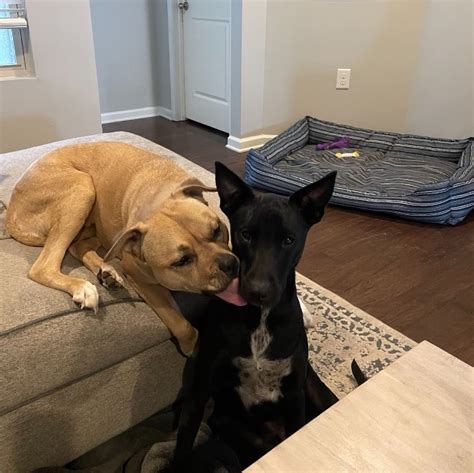 Poole Staff Spotlight Meet Carson Shanahan News At Poole College