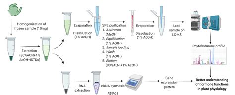 Figure 1 From A Rapid Method For Quantifying RNA And Phytohormones From