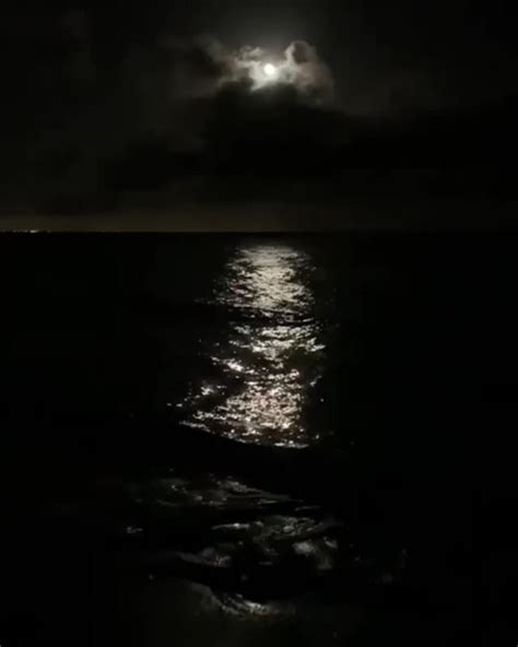 The Peace I Need Tumbex