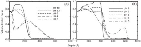 Polymer Volume Fraction Profiles For Poly[2 Diethylamino Ethyl