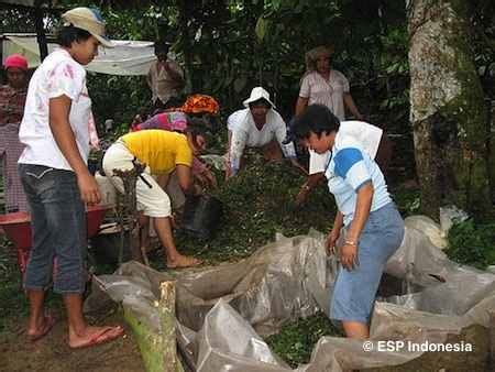 Hot Composting Part One Building The Compost