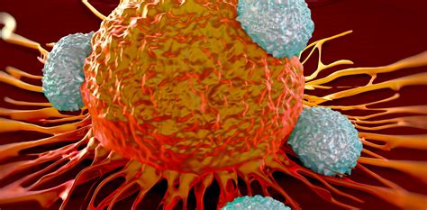 Engineered T Cells A Look At Autologous And Allogeneic Car T Cell My