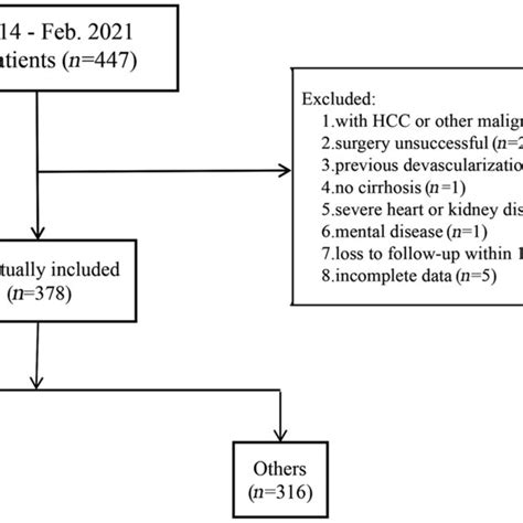 Flowchart Of The Patient Screening Hcc Hepatocellular Carcinoma
