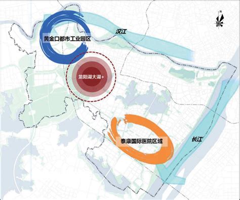 【健博会】汉阳区布局 一谷两区”，助力大健康产业腾飞 搜狐大视野 搜狐新闻