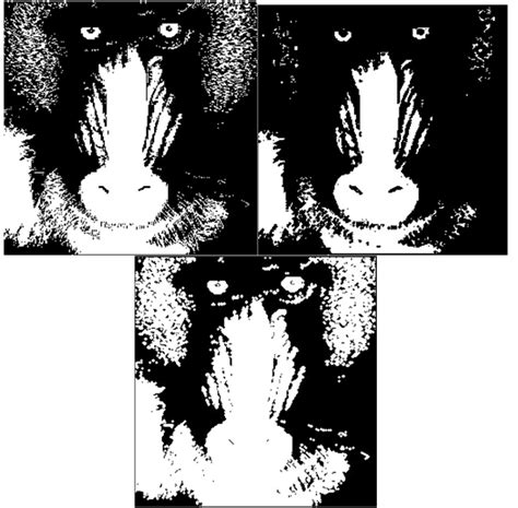 Mathematical Morphology Aida Ai Doctoral Academy