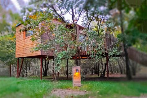 Cabañas en el bosque y en los árboles en Galicia