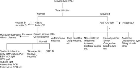 Manual Of Medicine On X Differential Diagnosis Of Elevated 56 Off