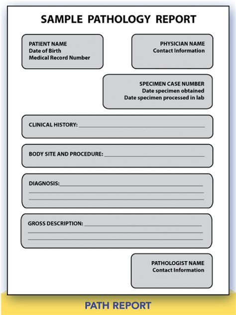 Histopathology Tissue Processing Services Seqmatic
