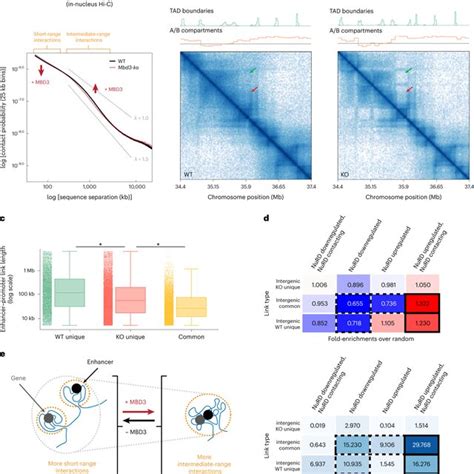 Live Cell Single Molecule Tracking Reveals That The Nurd Complex Download Scientific Diagram