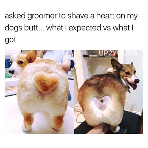 The Funniest Memes Of The Week Funny Gallery Ebaum Vrogue Co
