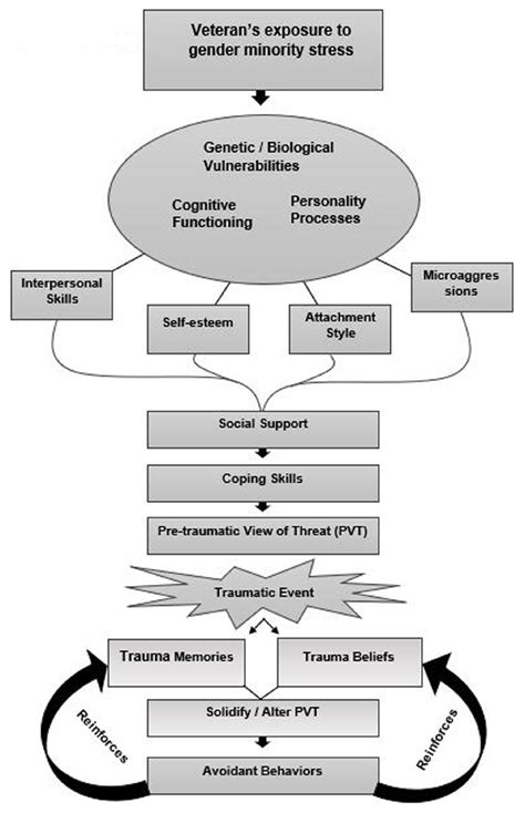 Pictorial Representation Of Theoretical Model Download Scientific
