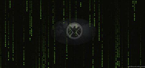 javascript canvas实现代码雨效果 javascript技巧 脚本之家