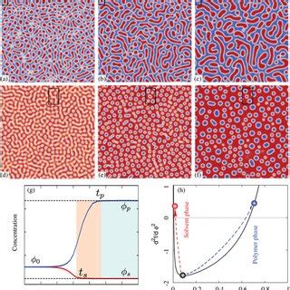 Two Morphological Transition Mechanisms From Ref 60 Reproduced With Download Scientific