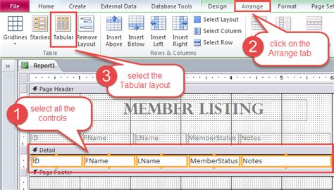 Thedbguys Access Blog Report Gridlines