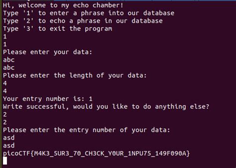 [picoctf] binary exploitation challenges writeup tzion s blog