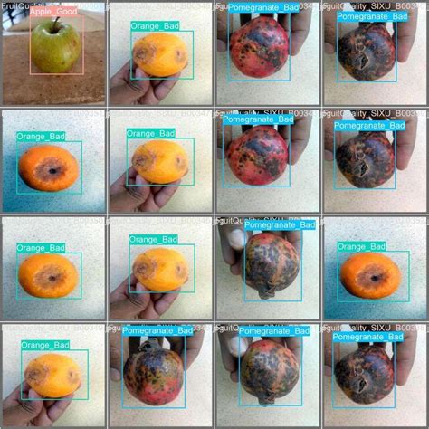 基于深度学习的水果质量识别系统（yolov8、v7、v6、v5模型ui界面python代码数据） 哔哩哔哩